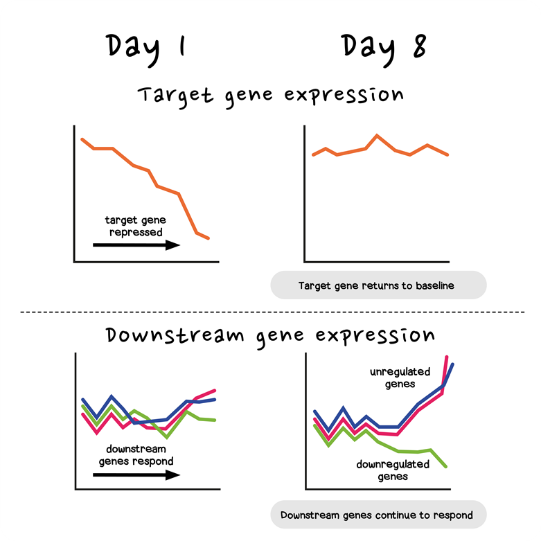 Closing the loop with AI in drug discovery
