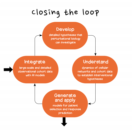 Closing the loop with AI in drug discovery