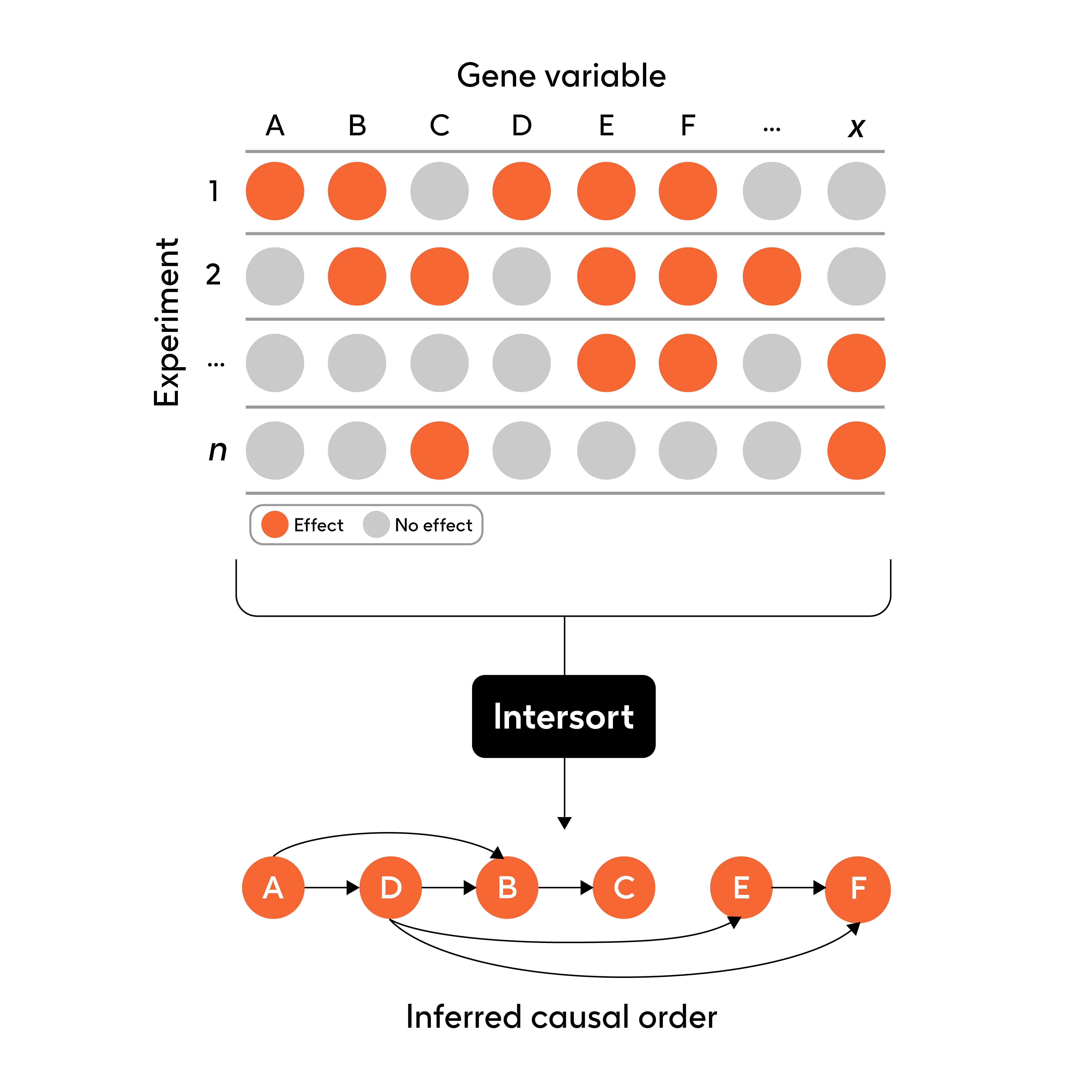 Intersort: deriving causal order in single-variable interventional data