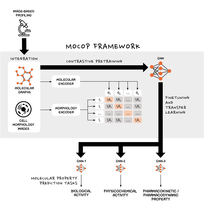 MoCoP: multi-modal representation of molecular graphs and cellular ...